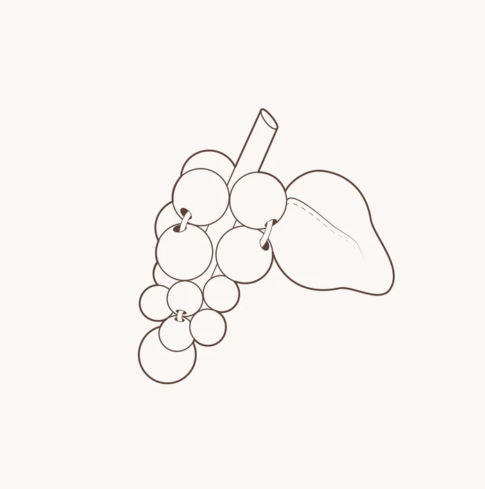 Grapes by FRUX Studio | Threadloop
